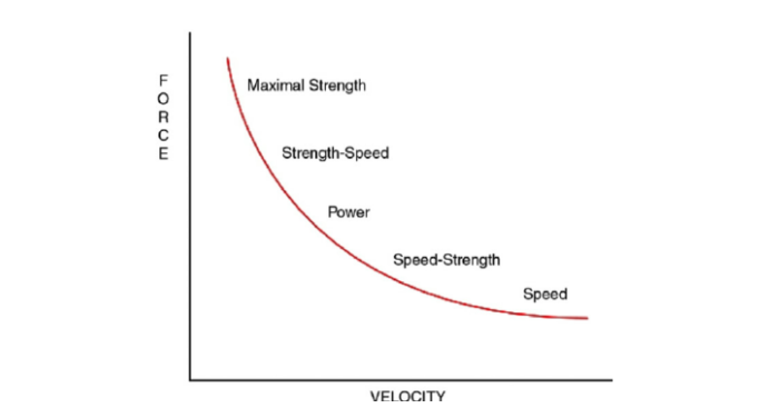 Maximizing Your Training Progress with Velocity Targets and Force ...